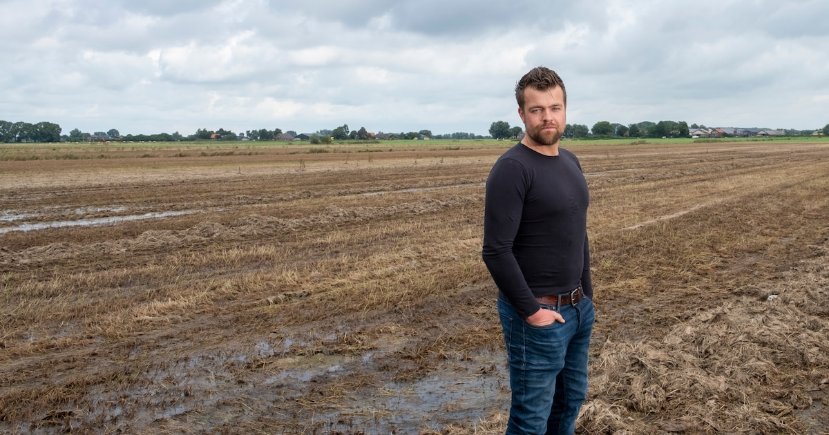 De dijkdoorbraak maakte het land van boer Jacob uit Hattem tot een ...