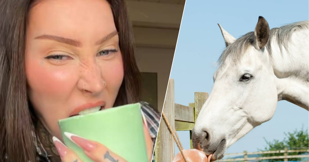 Nieuwe trend op TikTok: mensen eten paardensnoepjes, kan dat kwaad ...
