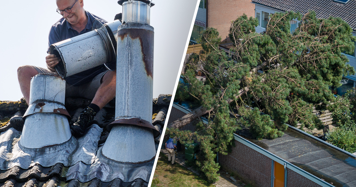 Meppel waarschijnlijk getroffen door valwind die snelheid van 200 ...