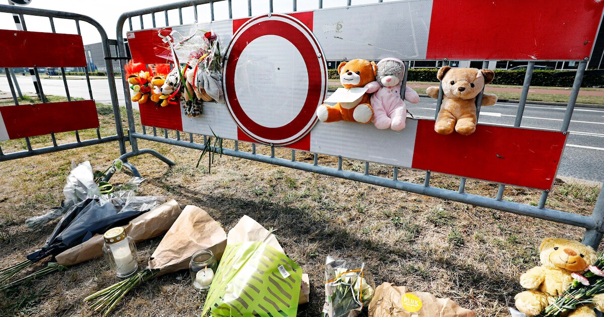 Hardrijder (27) die in gehuurde Mercedes twee vrouwen en jonge kinderen ...