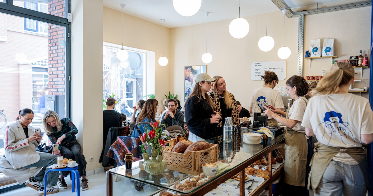 Bitterzoet opent vandaag voor het eerst met de nieuwste zoete hit: een ...