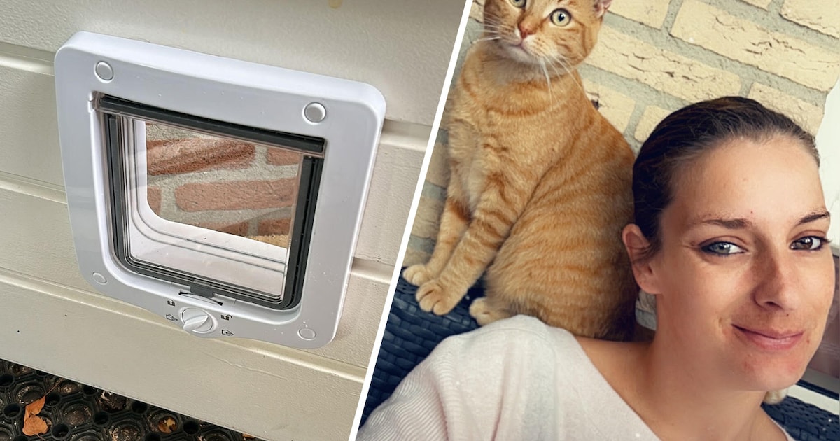Stephanie is er klaar mee: ‘Belachelijk dat mijn kat wordt gepest in ...