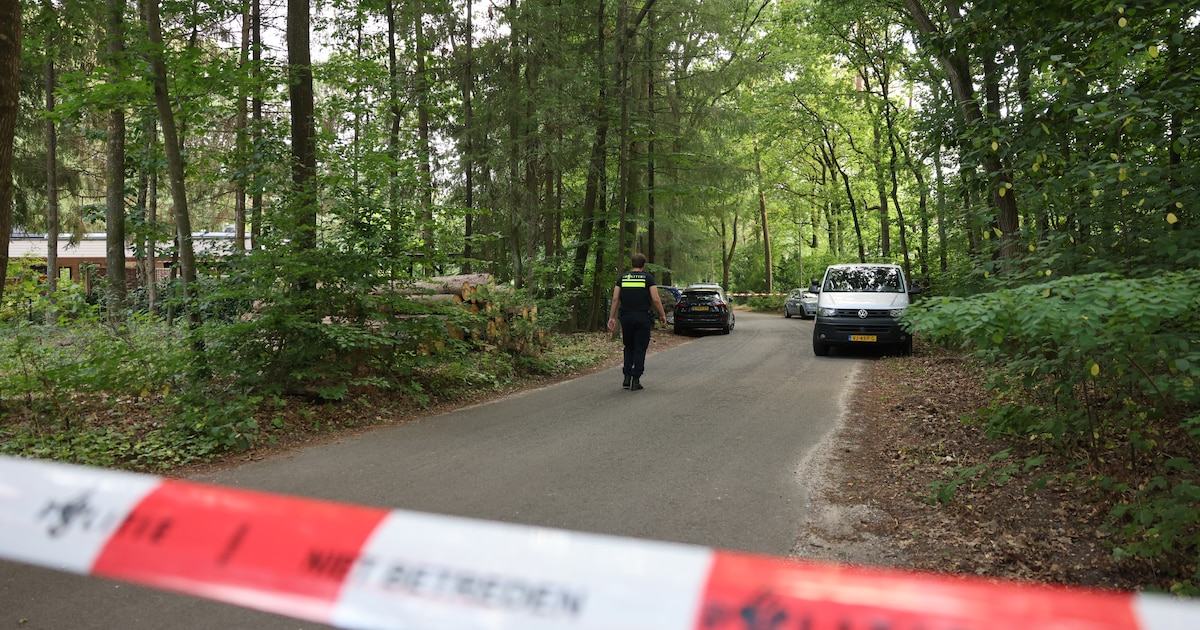 Lichaam gevonden in woning Epe: politie sluit misdrijf uit | Epe | destentor.nl