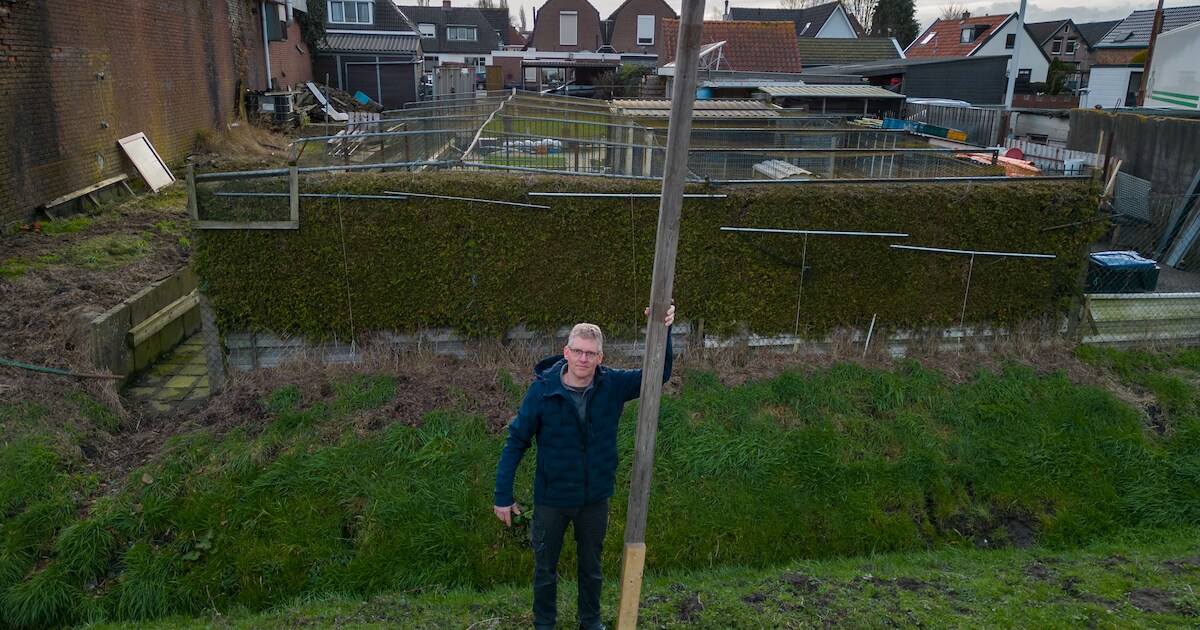 Gert (59) uit IJsselmuiden krijgt metershoge geluidsmuur in tuin: ‘Het ...