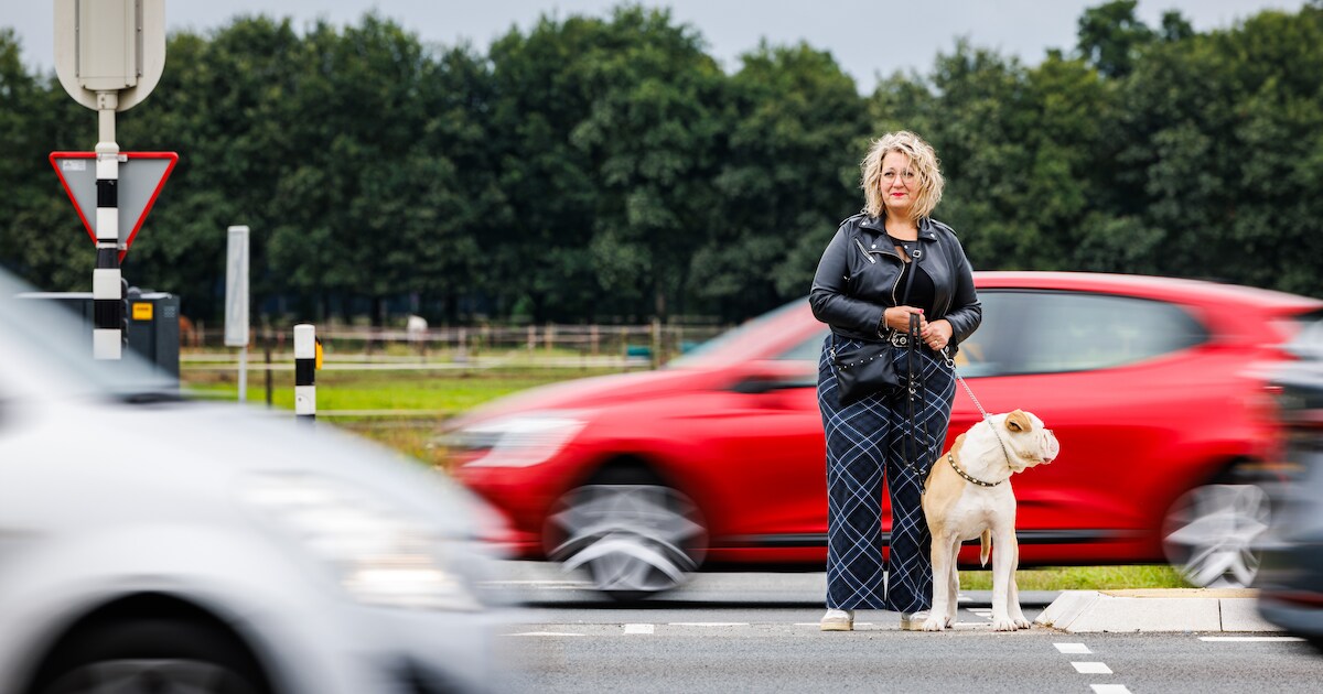 Berlinda en hond zijn blij: oplossing voor ‘levensgevaarlijk’ kruispunt ...
