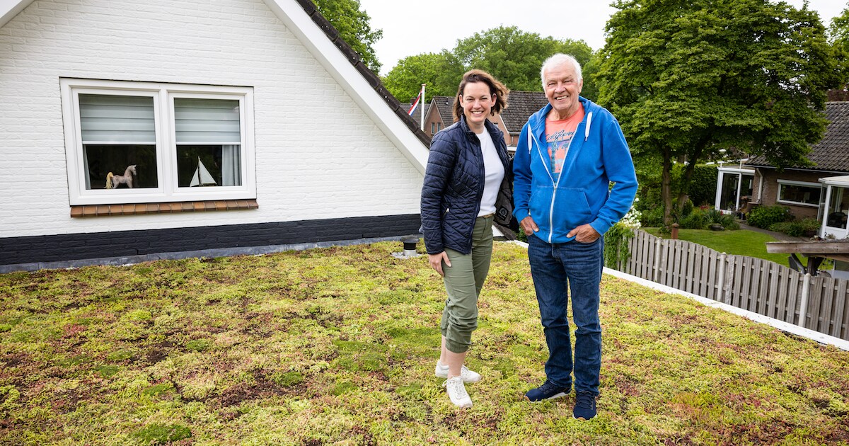 Pouw bekent kleur in Lemele: aanjager van groene daken wil voorbeeld ...