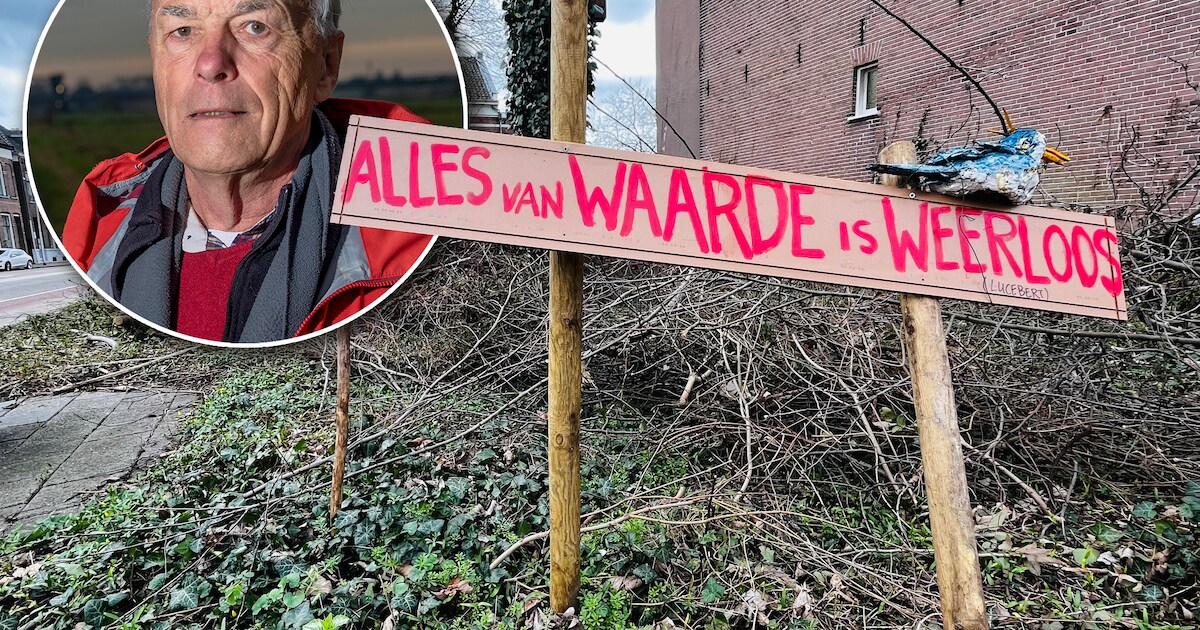 Gerooid bosje is volgens GroenLinks Zutphen waardevol groen: ‘Dit mag ...