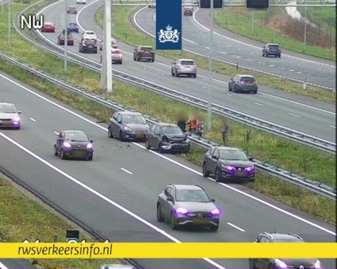 Loslopende hond veroorzaakt een ongeluk op snelweg A1: drie auto's beschadigd en file | Home ...