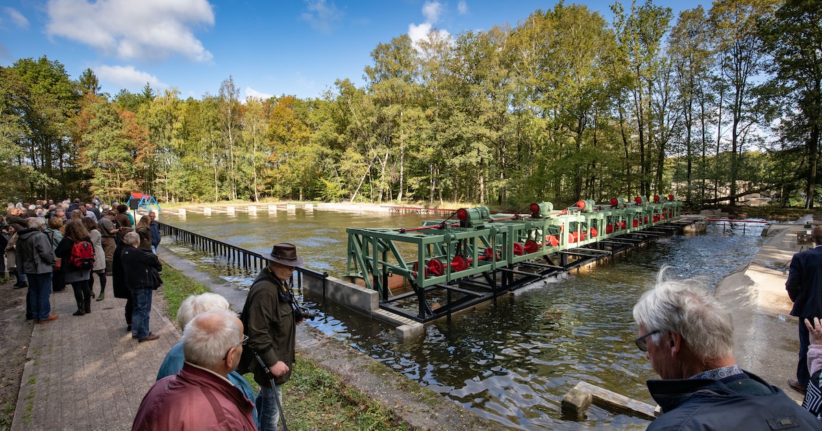 Schaalmodellen in Waterloopbos bij Kraggenburg krijgen vers water ...