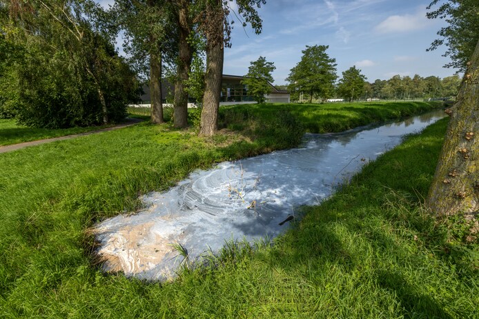 Een melkwitte laag kleurt ineens deze sloot in het stadspark van Kampen ...