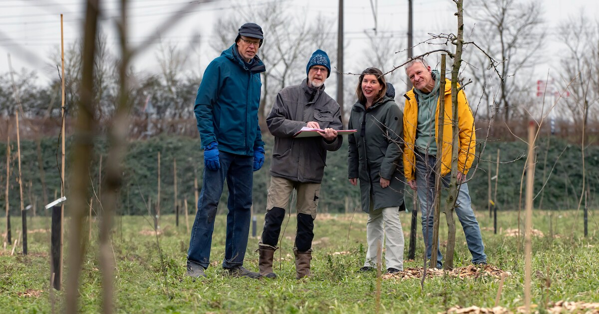 Goed nieuws voor dieren, klimaat en buurt: De Worp heeft eigen ...