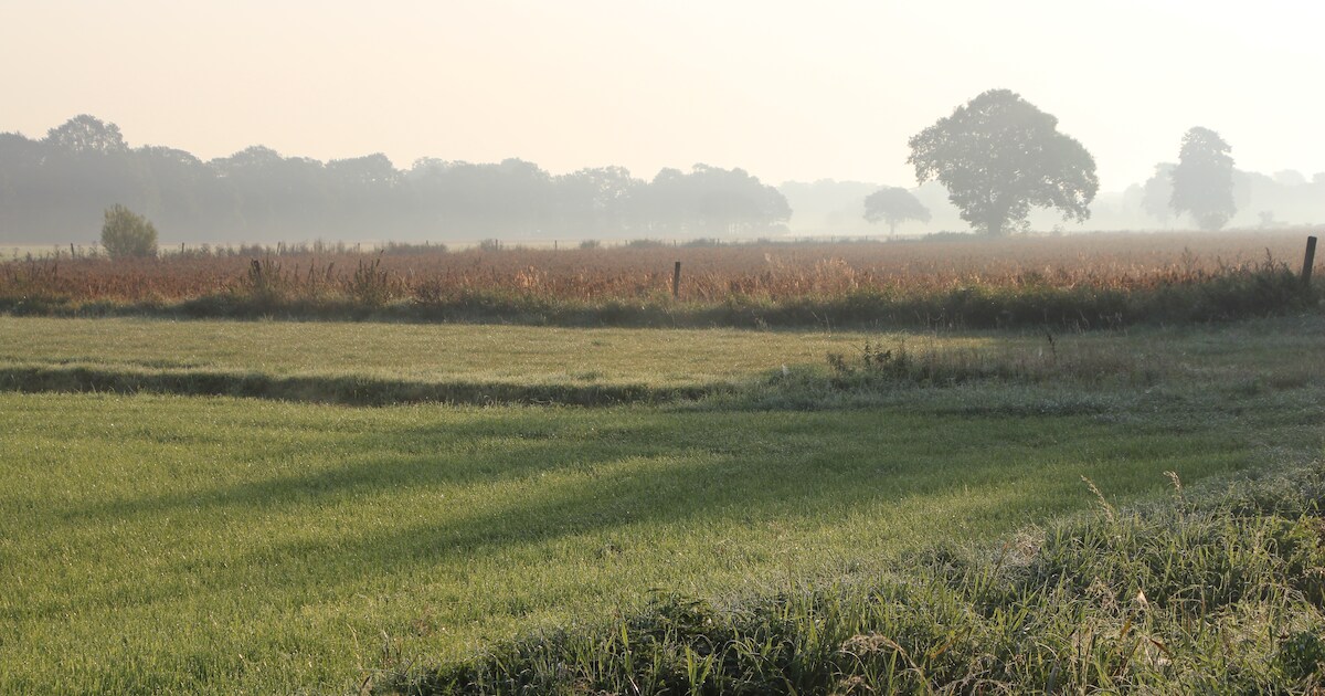 Agrariërs tussen Neede en Eibergen: ‘Landbouwers de dupe van ...
