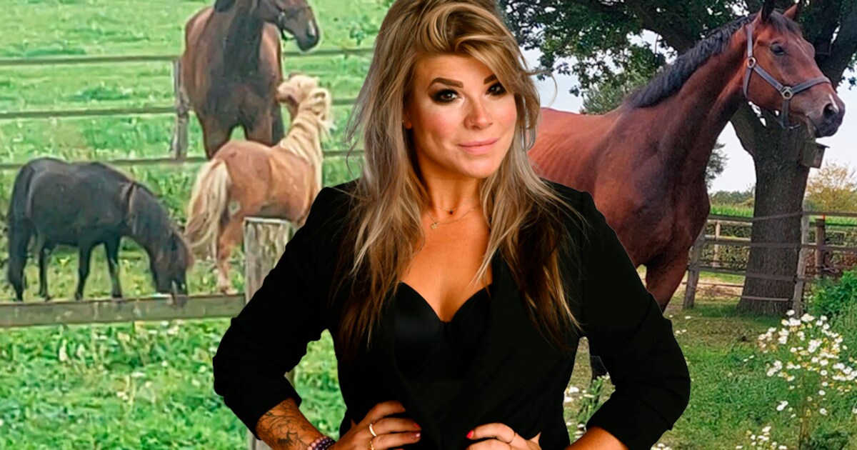 Columnist Renske zoekt naam voor paard, lezers weten raad: ‘Hij moest ...