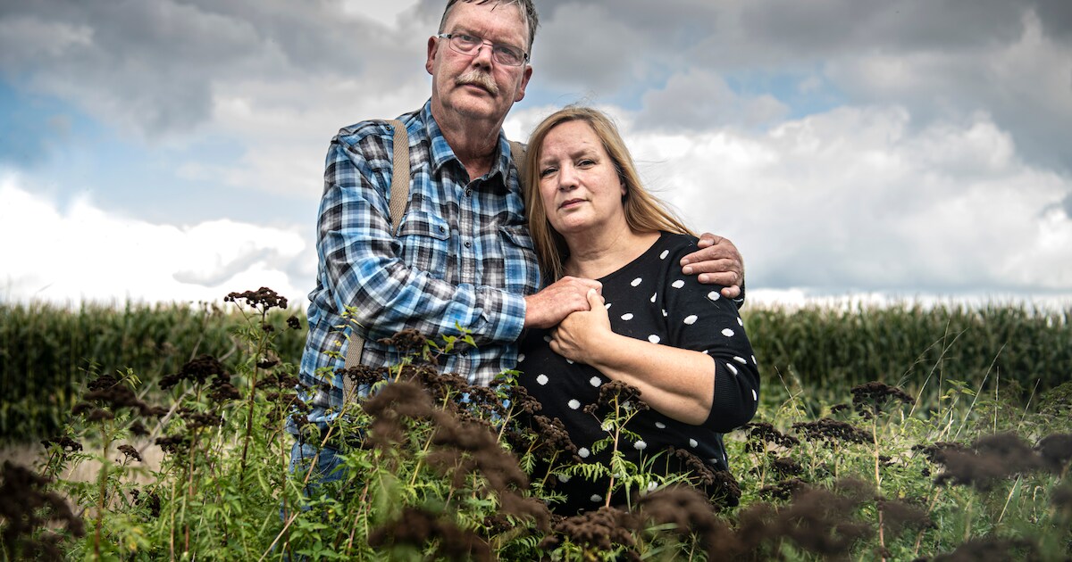 Zelfdodingspoeder Middel X blijkt gevaarlijk voor omstanders en ...