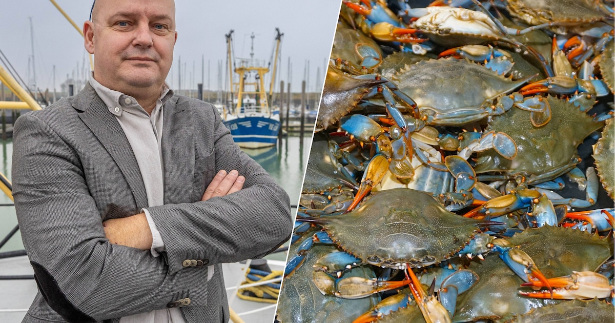 Mark heeft bedacht hoe je krabbenvlees kakelvers aan de hele wereld voorschotelt - en dat is een ...