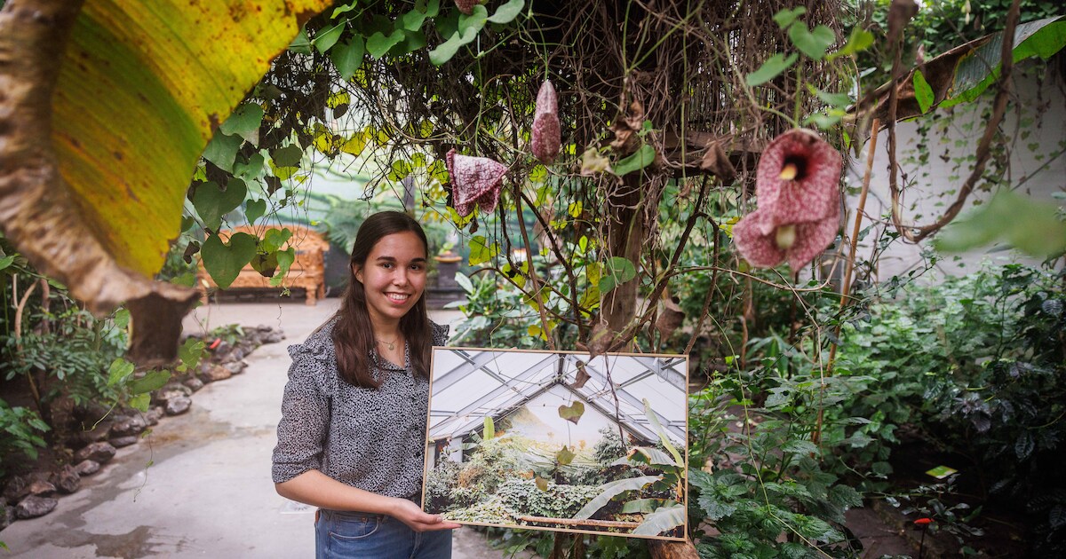 Hoe Djala (21) zocht naar haar Indonesische roots in deze Nederlandse ...