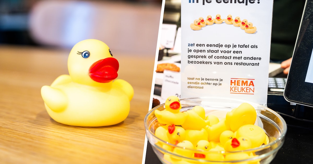 Eenzaam? Zet een badeend op tafel bij Hema Ommen: ‘Doe het niet voor ...