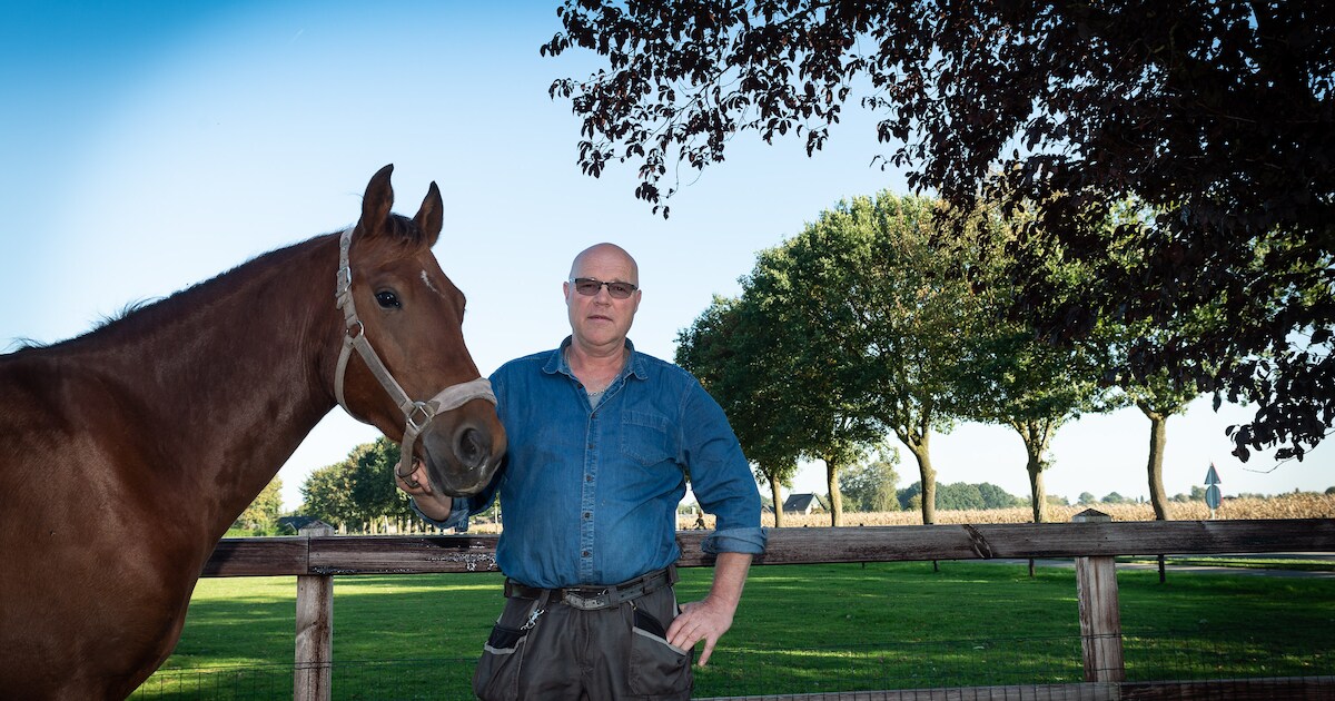 Epe gaat esdoorns niet kappen ondanks dood paard | Epe | destentor.nl
