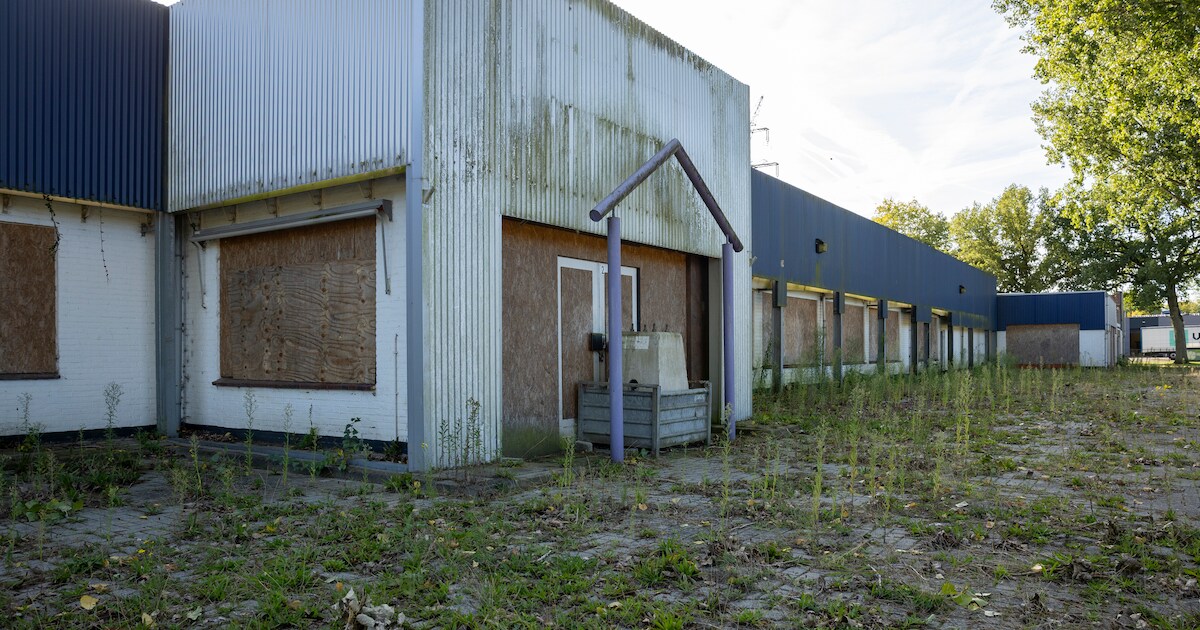 Nieuwbouwplan Hattem op de schop na kritiek op stikstofcijfers | Regio ...