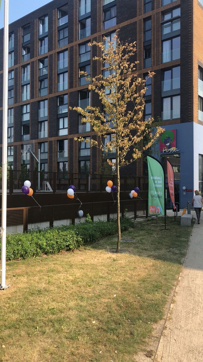 Tactus verslavingszorg verzorgt de fietsen op Talentenplein in Zwolle ...