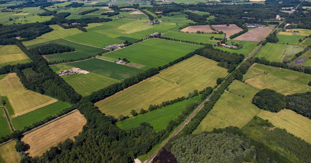 Aantasting van Sallands landschap of bittere noodzaak? Zonnepark leidt ...