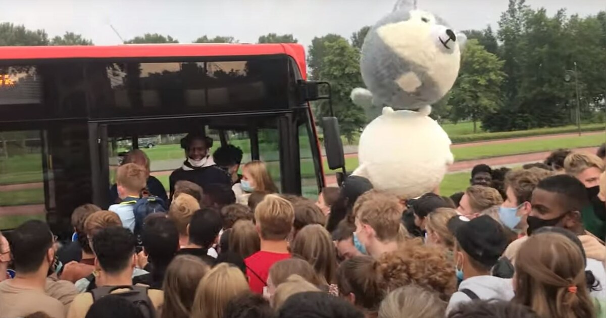 Stampvolle lijnbus van Walibi naar Harderwijk: ‘Dit hebben we nog nooit ...