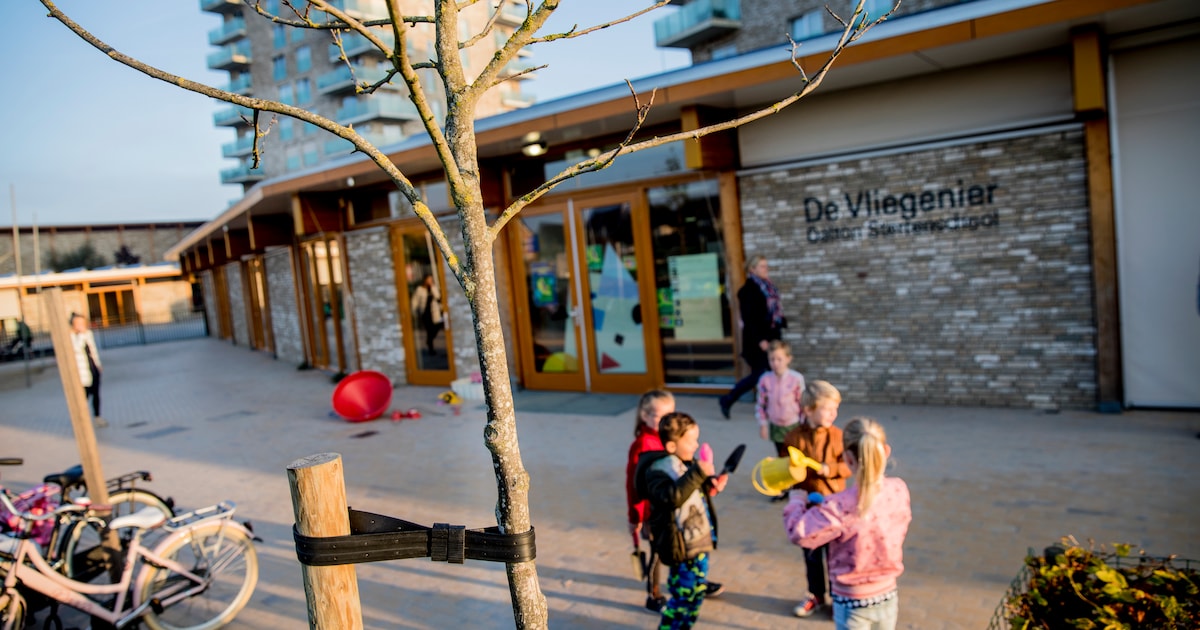 Een herinneringsboom op het schoolplein: de broers Joris en Jasper ...