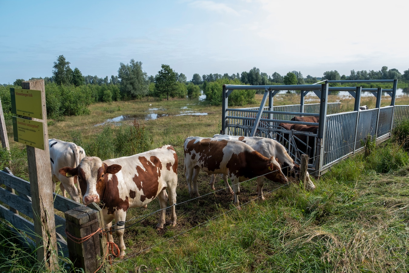 Boer Jacob na dijkdoorbraak in Hattem: ‘We hebben alles op alles gezet ...
