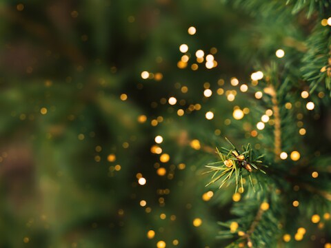 Boerenmarkt in Vilsteren krijgt zaterdag een 'kersttintje' mee | Ommen ...