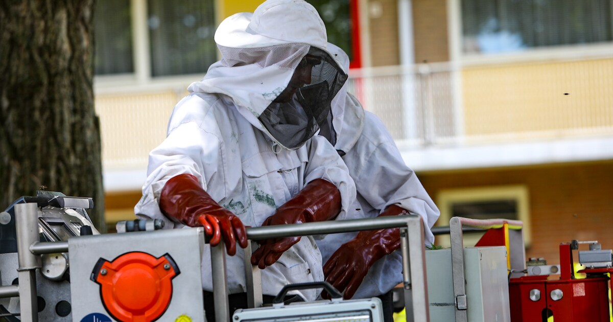 Ineens heeft deze speeltuin in Vaassen er honderden ‘bewoners’ bij ...