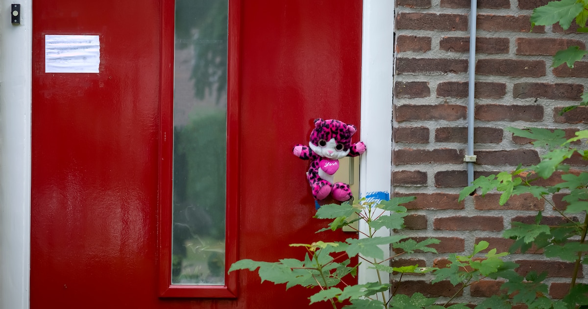 Toestand van Vlaardings pleegmeisje nog altijd zeer zorgelijk, pleegouders volgende week voor de ...