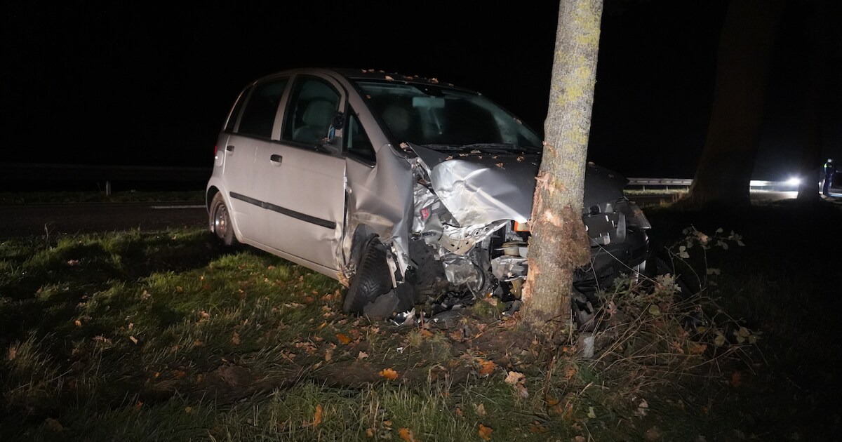 Vrouw botst met auto tegen boom in Meppel en raakt gewond | Meppel ...