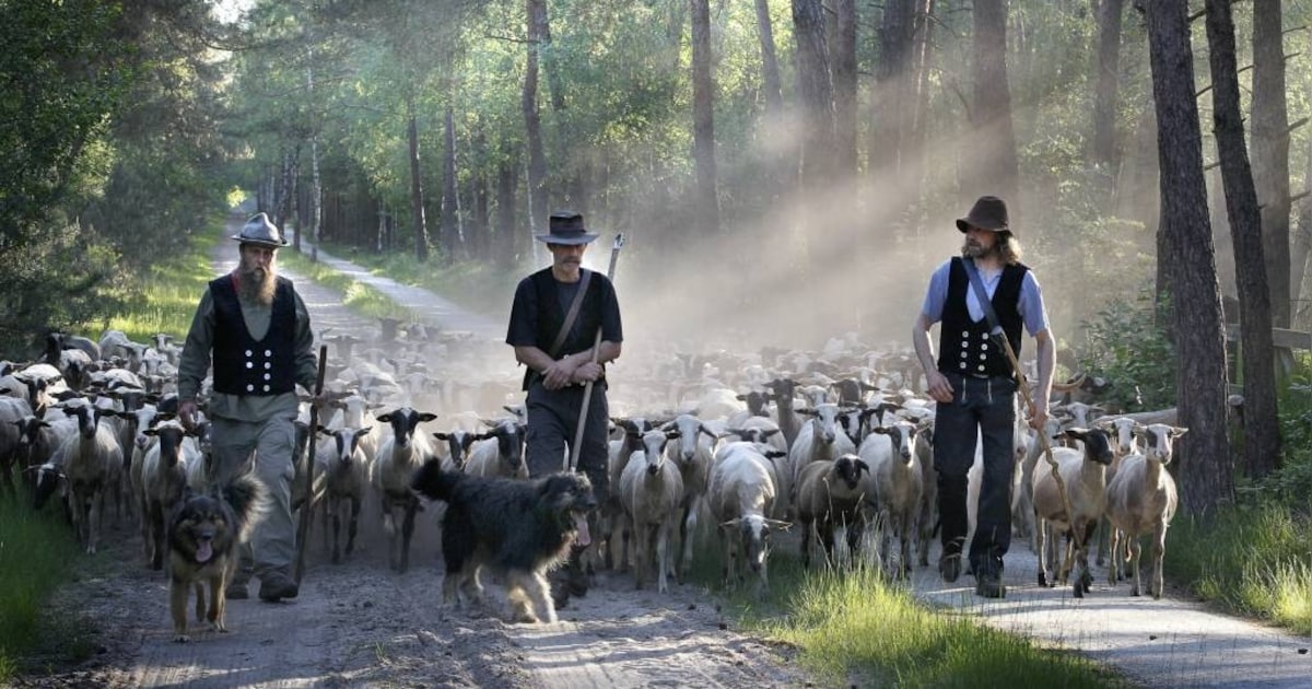 Cees Baars maakt mooiste nieuwsfoto | Apeldoorn | De Stentor.nl