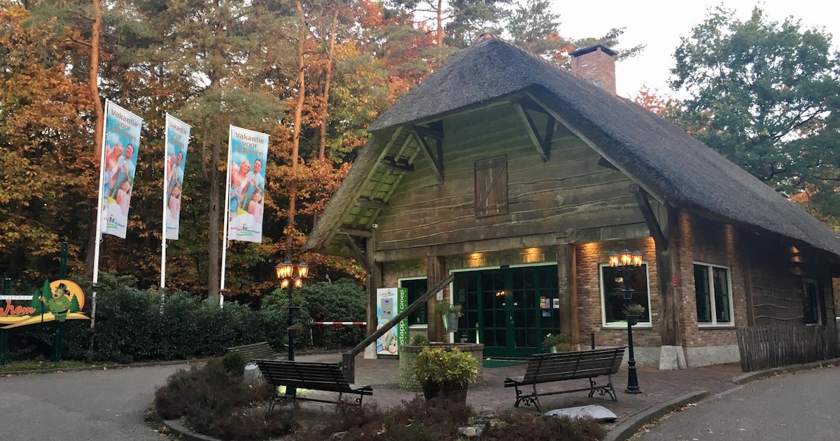 Opvolger van Peter Gillis wil niet de botte bijl hanteren voor parkbewo ...