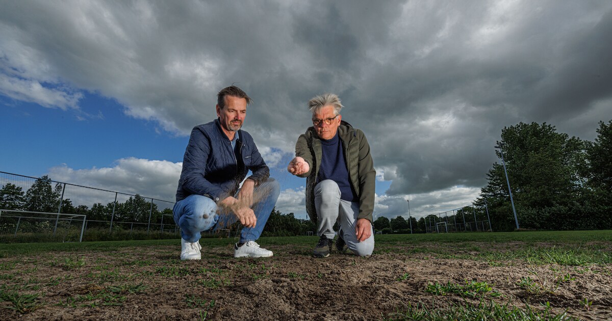 Voetbalclubs in Kampen zijn deze zomer van knollenvelden af (en krijgen ...