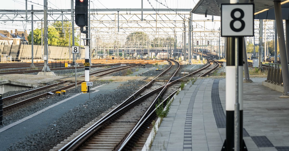 NS-personeel staakt in Oost-Nederland: dit zijn de gevolgen voor de ...