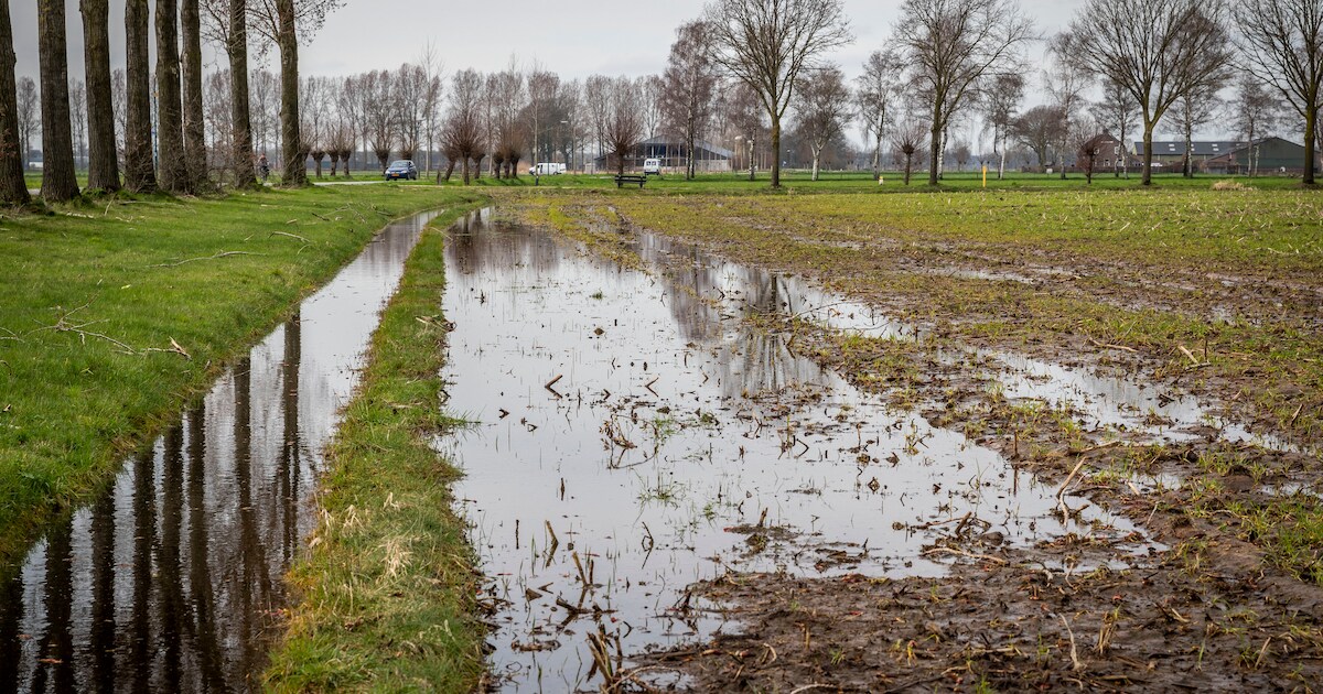 Agrariërs in gesprek met gebiedsbeheerders over natte grond | Voorst ...