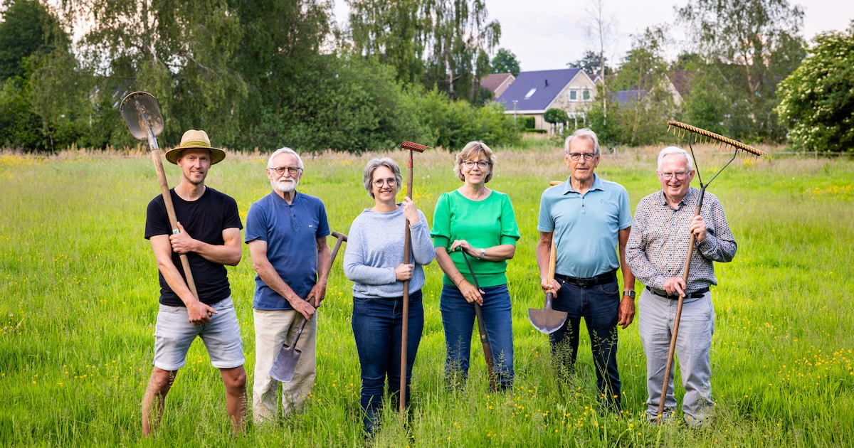 Dankzij dit zestal kun je in Nieuwleusen straks van de bomen en ...
