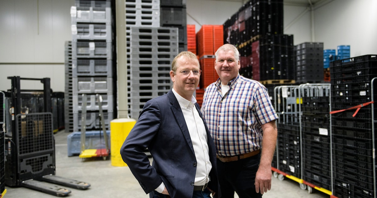 Familiebedrijf uit Holten met 800 werknemers overgenomen: ‘Een strijd ...