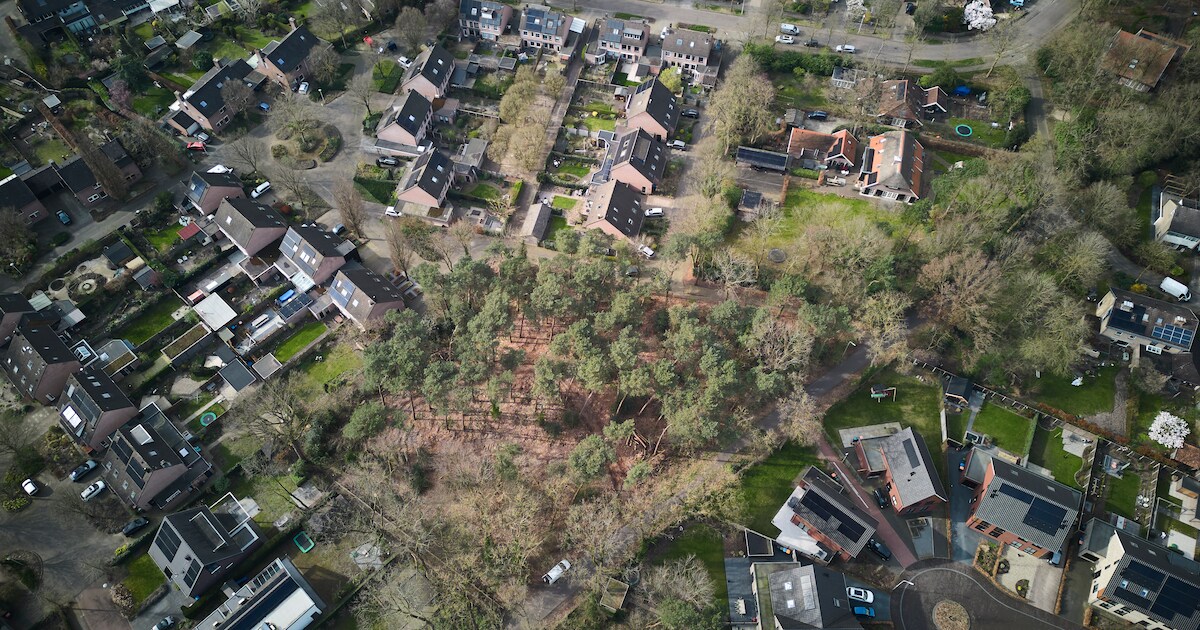 Lochem gaat woningnood te lijf: meerdere gezinnen onder één dak ...