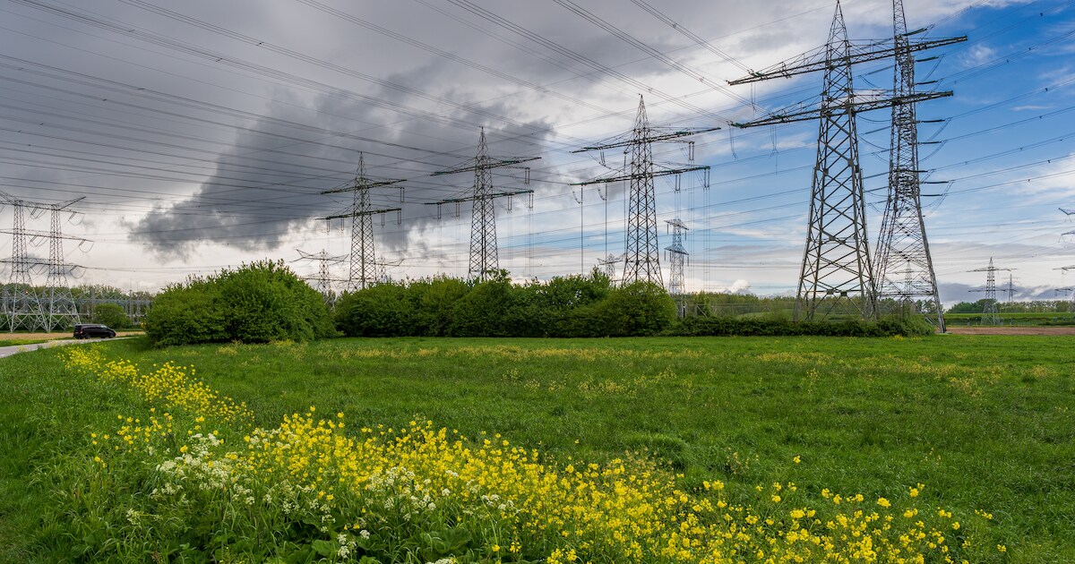 Netbeheerder TenneT wil actie overheid om dreigend stroomtekort na 2030 ...