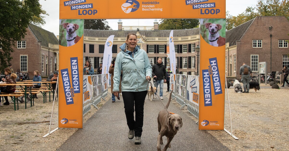 Honden voor Honden Loop: honderden honden strijden voor een goed doel ...
