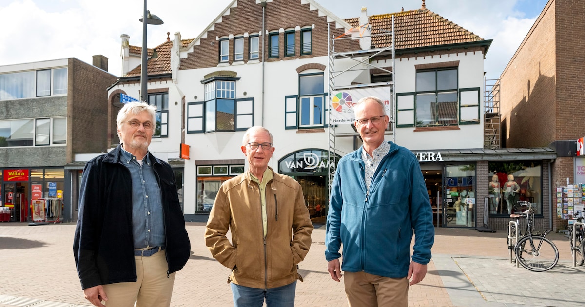 Al deze panden in Ermelo zijn bedacht door één man; ‘hij verdient echt een straatnaam’ | Ermelo ...