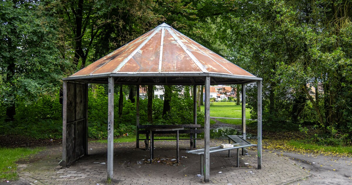 Puinhoop in het park: gemeente komt met plan (én speciaal ...
