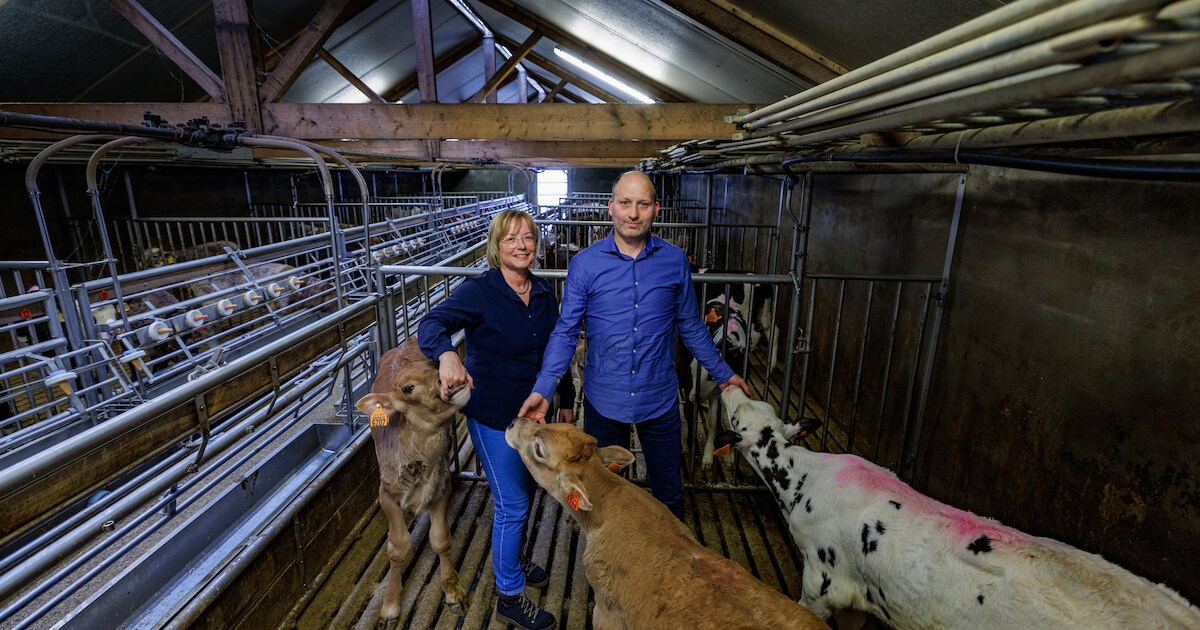 Peter en Magda laten zich uitkopen door de overheid: ‘Wel slikken als ...
