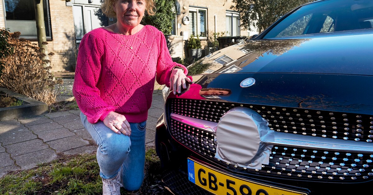 Dieven jatten in 30 seconden de sensoren van Fanny’s auto: ‘Je hebt er ...