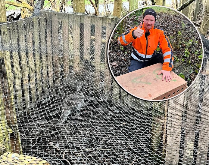 Urker wallaby Hop is ein-de-lijk weer thuis! Ingenieus plan van Bertus ...