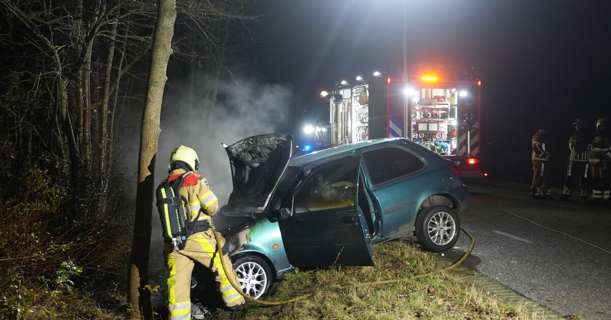 Auto komt tot stilstand tegen boom en vliegt in brand bij Rouveen | Zwartewaterland | destentor.nl