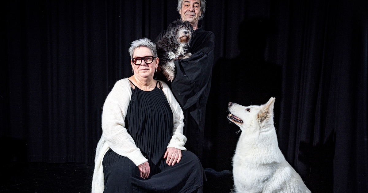 Zwols poppentheater stopt na bijna vier decennia: ‘We kregen een ...