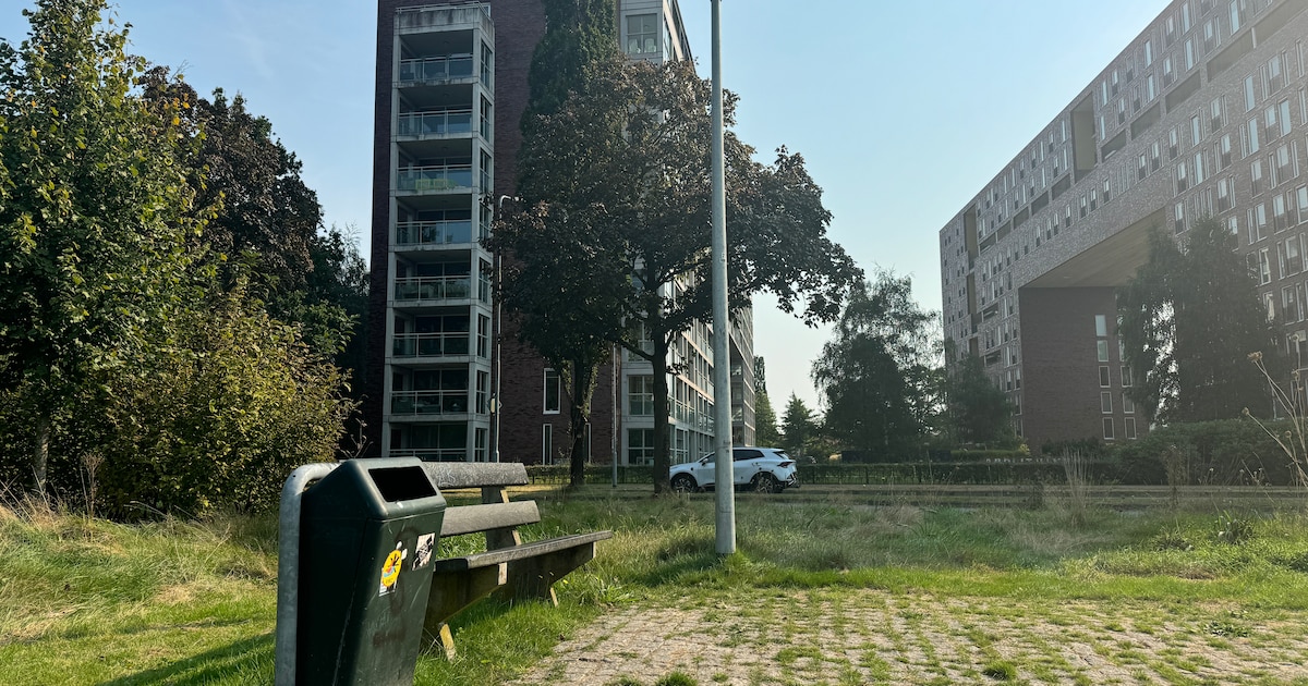 Vijf honden ontsnappen uit woning en bijten teckel dood, dieren in ...